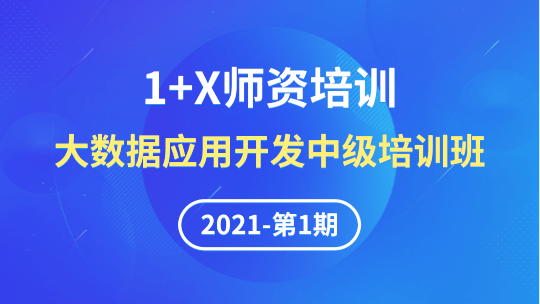 大数据应用开发(python)1x职业技能等级证书(中级)第1期线上师资培训班 泰迪云课堂 大数据培训大数据就业培训班大数据培训平台